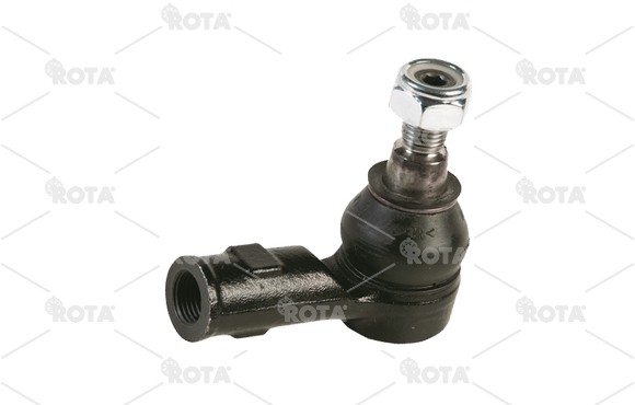 Dişi Rotbaşı | ROTA-1062274