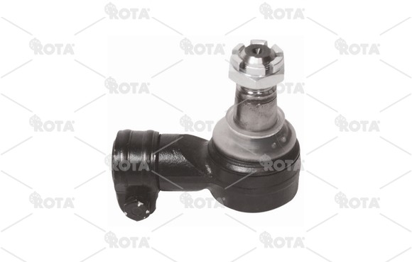 Dişi Rotbaşı | ROTA-2096434